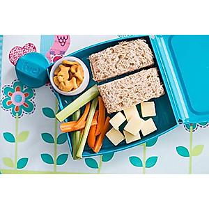 Trudeau 8oz Sandwhich Box, Tropical