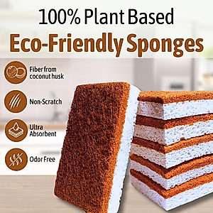 BPA Free Premium 6-Pack Biodegradable Natural Kitchen Dish Sponge Vegan Plant-Based All-Natural Non-Scratch Coconut Fiber & Wood Cellulose sponges Eco-Friendly Organic EcoGrove