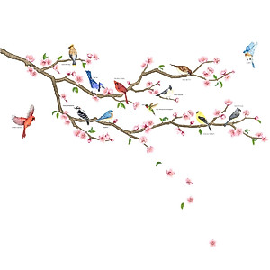 DECOWALL DAT-2004 Garden Birds on Tree Branch Kids Wall Stickers Wall Decals Peel and Stick Removable Wall Stickers for Kids Nursery Bedroom Living Room d?cor