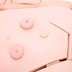 Training Manikin Model Mannequin Patient Education Teaching Model Female