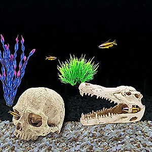 Tfwadmx Bearded Dragon Tank Accessories Reptiles Crocodile Skull Decorations Resin Human Skulls Hideouts Cave Habitat Decor for Chameleon,Snake,Spider,Gecko and Fish