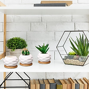 Hsei 12 Pack Small Succulent Planter 3 Inch with Bamboo Tray and Drainage Hole Mini Ceramic Flowers Pot White Water Pattern Plant Pots for Office Garden Home Decoration Gifts (Plants Not Included)