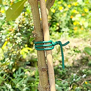 Soft Plant Wire, 49.2 ft Reusable Rubber Twist Ties Heavy Duty Garden Wire for Plants, Soft Twist Plant Tie to Support Plant Vines, Stems & Stalks and for Home Organization (49.2 feet/15 Meters)