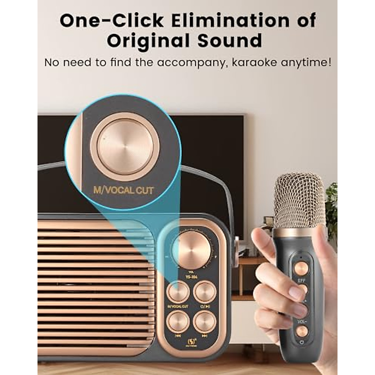 ALPOWL Mini Karaoke Machine for Adults Kids, Portable Bluetooth Speaker with Retro Radio Appearance, One-Click to Cancel The Original Sound for Home Party, Outdoor/Indoor