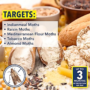 B&G Pantry Moth Traps with Pheromones Prime (2-Pack), Odorless Kitchen Moth Prevention, Indian Meal Moth Traps for House Pantry, How to Get Rid of Moths in House, Sticky Glue Food Moth Traps
