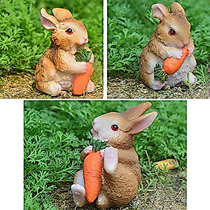 MAOMIA Miniature Bunnies 3 Pcs Fairy Garden Rabbit Figurines Easter Bunnies Statue Micro Landscape Decoration Plant Flower Pots Ornaments