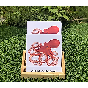 KIHACO 2 Sets Montessori Three Part Card Tray Montessori material The Holder for Montessori 3 Part Cards - NOT for Greeting Cards