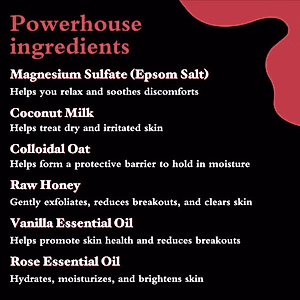 Detox Babe Bye Bye Dry Organic Detox Bath Salt Soak (8 oz) | Epsom Salt, Coconut Milk Powder, Raw Organic Honey, Colloidal Oat, Vanilla, Rose Bath Soak | Herbal Essential Oils Soak | Spa Bath Gift