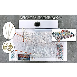 Artmaple Paint by Number for Adults Beginner Students, Ideal Gift Choice for Birthday,Anniversary or Any Festival.DIY Acrylic Painting Kit for Room Decor (12x24, Birch Forest)