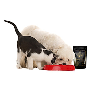 Lexelium Nursing Supplement and Vitamins for Nursing Dogs and Cats - Nursing, Lactation and Recovery Supplement for Breeders - Muscle & Mental Development for Puppies and Kittens - 200g