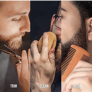 Beard Kit Brush Comb Scissors with Storage Bag Beard Growth Care Gifts for Men(Beard Brush Set)