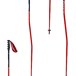 Swix Winter Sports Recreation Competition Alpine Skiing Racing Freeriding WC Pro Super-G Aluminum Poles, 125cm
