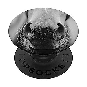 Horse PopSockets PopGrip: Swappable Grip for Phones & Tablets