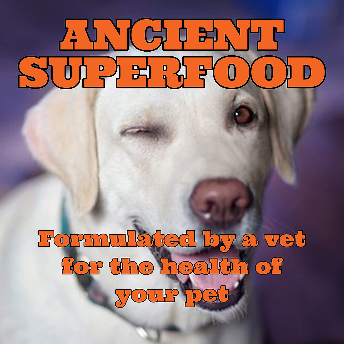 Turmeric Golden Paste for Pets 7 OZ (200grams)