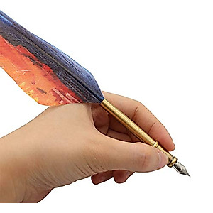 Ranvi Feather Quill Pen Set, Antique Calligraphy Pen Set (with 5 Replacement Nibs), 1 Ink and 1 Gift Box(Starry Sky)