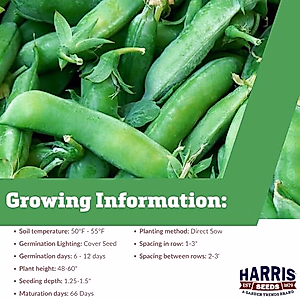 Garden Trends - Pea Seeds - Super Sugar Snap - Non-GMO Vegetable for Outdoor Planting Home Garden - Long Vines - Dark Green Pods - Flat, Sweet Berries - 0.5 Lbs