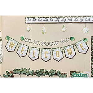 Teacher Created Resources Eucalyptus Geometric Terrariums Accents (TCR8475)