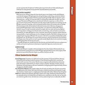 The New Complete Dog Book, 22nd Edition: Official Breed Standards and Profiles for Over 200 Breeds (CompanionHouse Books) American Kennel Club's Bible of Dogs: 920 Pages, 7 Variety Groups, 800 Photos