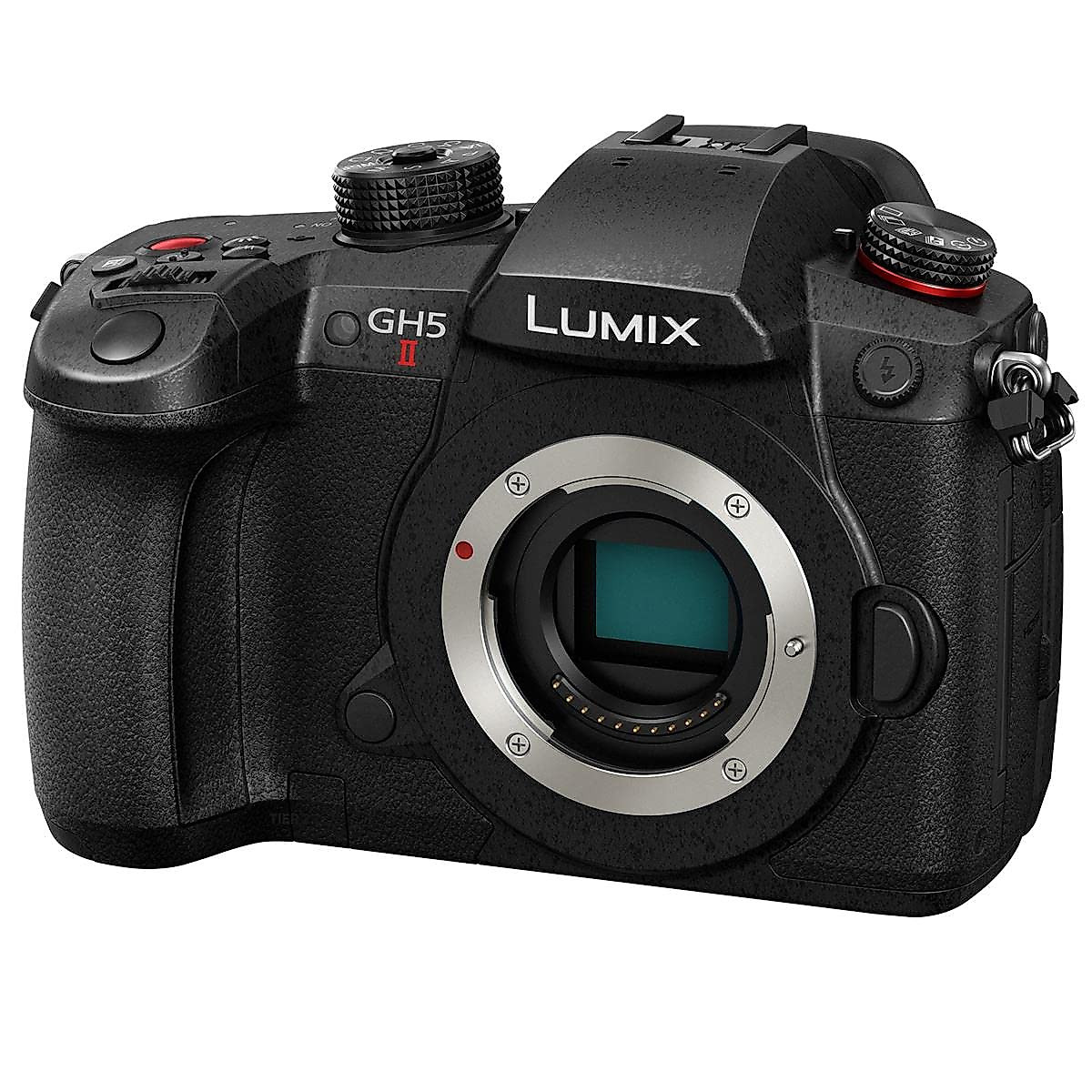 Panasonic Lumix GH5 II Mirrorless Camera with Capture One Pro Photo Editing Software