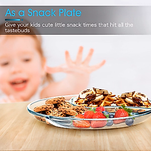 NUTRIUPS Durable Divided Plates 10inch, 2 Piece, Divided Dinner Plates Portion Control Plates for Adults, Bariatric Diet Microwave& Dishwasher Safe