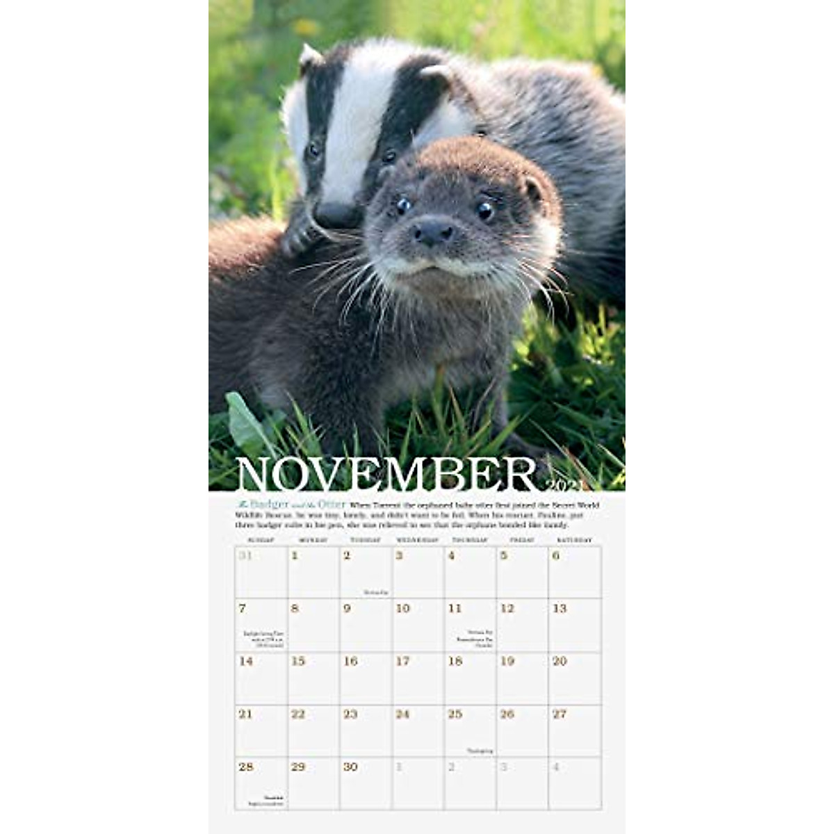 Unlikely Friendships Mini Wall Calendar 2021