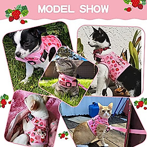 BINGPET Cat Harness with Leash Escape Proof - Fashionable Mesh Cat Dog Walking Harness Leads, Adjustable for Kitties Puppies Small Animals