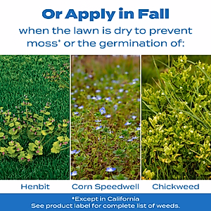 Scotts Halts Crabgrass & Grassy Weed Preventer, Pre-Emergent Weed Killer for Lawns, 10,000 sq. ft., 20.12 lbs.