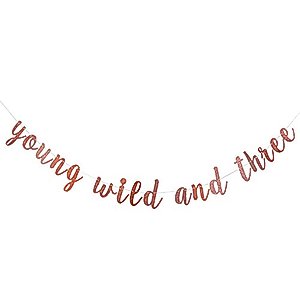 Rose Gold Glitter Young Wild and Three Banner - Happy 3rd Birthday Boy Girl Party Decorations - Great for Baby Shower Boho Tribal Themed 3rd Birthday Party Decor
