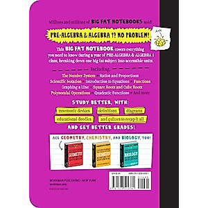 Everything You Need to Ace Pre-Algebra and Algebra I in One Big Fat Notebook (Big Fat Notebooks)