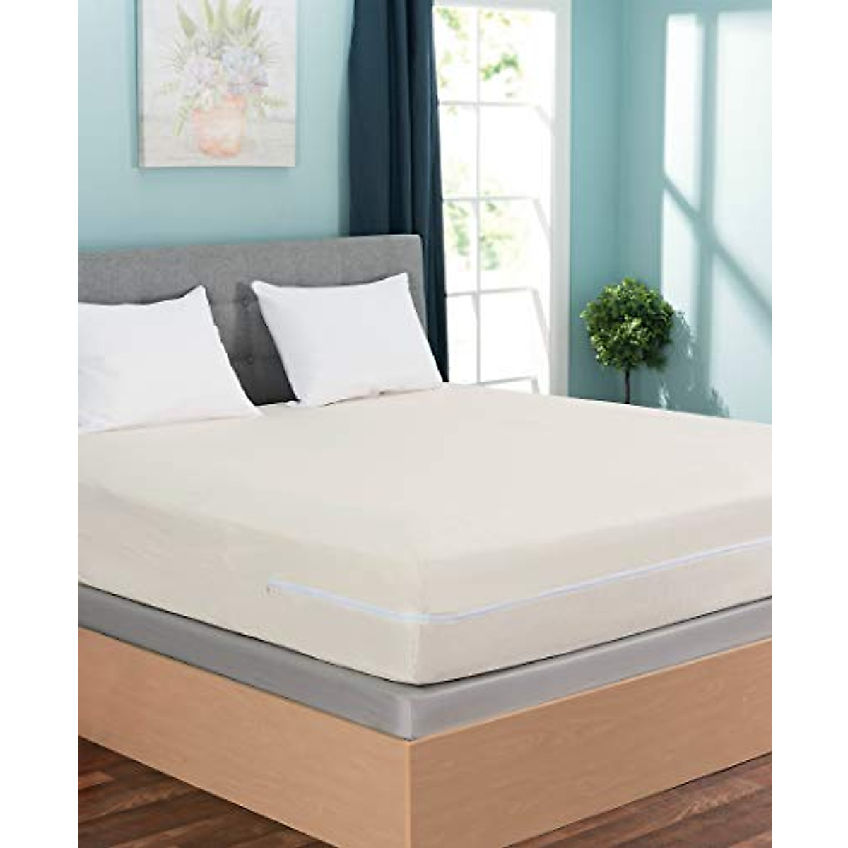 Bargoose AllergyCare Organic Cotton Zippered Mattress Encasement, 100% Organic Cotton, Hypoallergenic, Chemical Free, Blocks Dust Mites & More (9" Deep, Full)