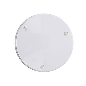 Melamine Tray with Clear Dome Covered by (SeaLife)