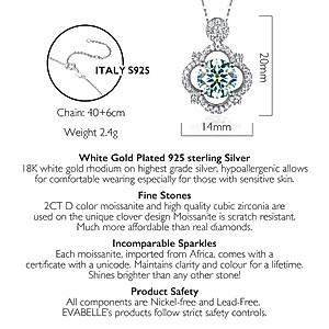 EVABELLE Moissanite Necklace 1CT 18K White Gold Plated 925 Sterling Silver D Color Ideal Cut Diamond Pendant Necklaces for Women with Certificate of Authenticity, 18K White Gold Plated 925 Sterling