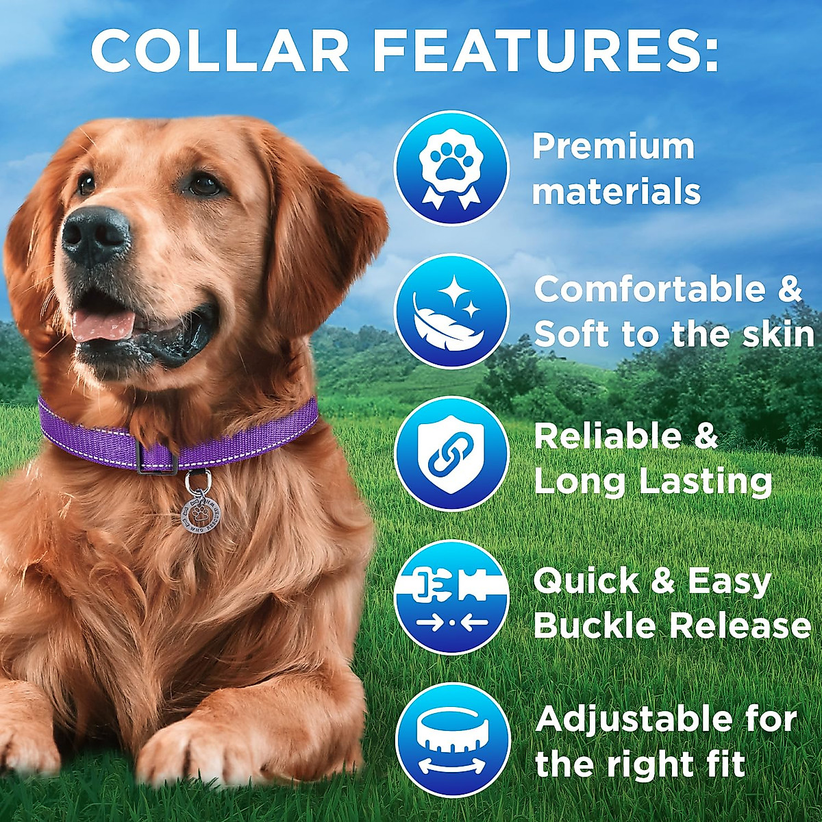 TECEUM Reflective Pet Collar – Purple – M – Extra Soft Padding – Basic Nylon Dog Collar – Quick Release Buckle – Fits Small, Medium and Large Dogs, Puppies, Cats – ESA & Service Dog Options