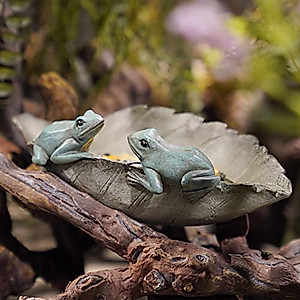 Bird-Feeder Wild Bird-Bath Bowl Outdoors - Garden Decor Polyresin Frogs on Leaf Bird Bath for Yard 12 x 7.25 x 3.5 inch-Newman House Studio