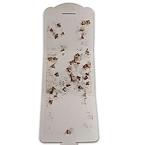 Clothes Moth Traps (6 Count) with Pheromones Lure, Powerful Moth Traps For House, wool clothes and carpet