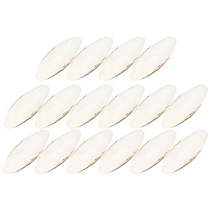 30pcs Parrot Training Toys Cuttlefish Bone Pet Training Chewing Molar Toy turtle calcium