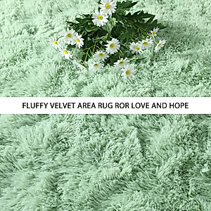 Pettop Fluffy Sage Green Rug for Bedroom Living Room, 4x6 Feet Rectangle Large Rug Plush Fuzzy Carpet for Girls Kids Boys, Non-Slip and Washable Rug for Nursery Classroom Decor Rug