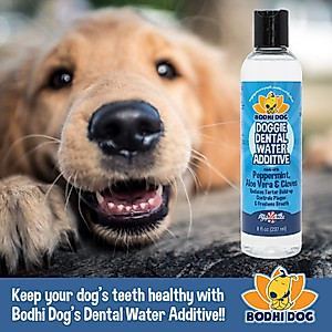 Bodhi Dog Peppermint Dental Dog Water Additive | Dental Water Additive for Dogs & Pets | Teeth, Breath & Healthy Gums | Freshens Breath & Reduces Tartar Build Up | Oral Care Cleaner | Made in USA, 8oz