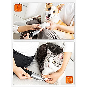 Toozey Dog Nail Grinder with 4 LED Lights, Professional 3-Speed Powerful Electric Dog Nail Trimmer with 2 Grinding Wheels, Dog Nail File Painless Paws Grooming for Small Medium Large Dogs & Cats