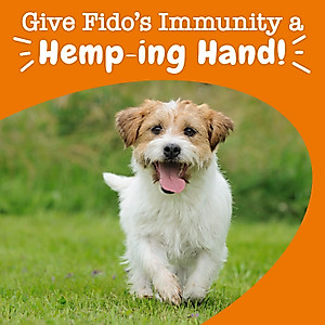 Zesty Paws Allergy Immune Soft Chews + Hemp Seed for Dogs - with Turmeric, Cod Liver Fish Oil, Beta Glucan, Vitamin C & Quercetin - Supports Dog Immune System Function + Seasonal Allergies - 90 Chews