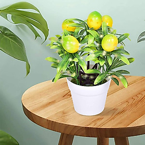 WUHNGD Artificial Plants,Artificial Eucalyptus Plants Potted,Mini Fake Artificial Potted Plants Lemon Tree Potted in Pots for Office Table Stair Balcony Garden Home Decor