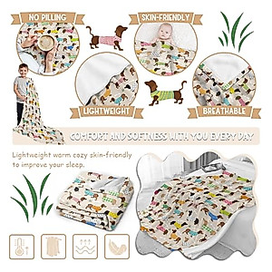 BUYYET Cute Dachshund Decor Fleece Flannel Animals Blanket Wiener Dog Dachshund Gifts Blanket for Women Lightweight Soft Cozy Throw Blanket for Bed Couch Travel Outdoor 40''x 50'' for Kids/Child