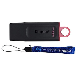 Kingston 256GB Flash Drive DataTraveler Exodia USB 3.2 High Speed 100MB/s USB for Computer (DTX/256GB) Bundle with 1 Everything But Stromboli Lanyard