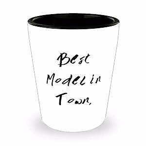 Brilliant Model Shot Glass, Best Model in Town, Present For Coworkers, Funny Gifts From Coworkers, Model car, Model airplane, Model train, Model rocket, Diecast model, Plastic model kit