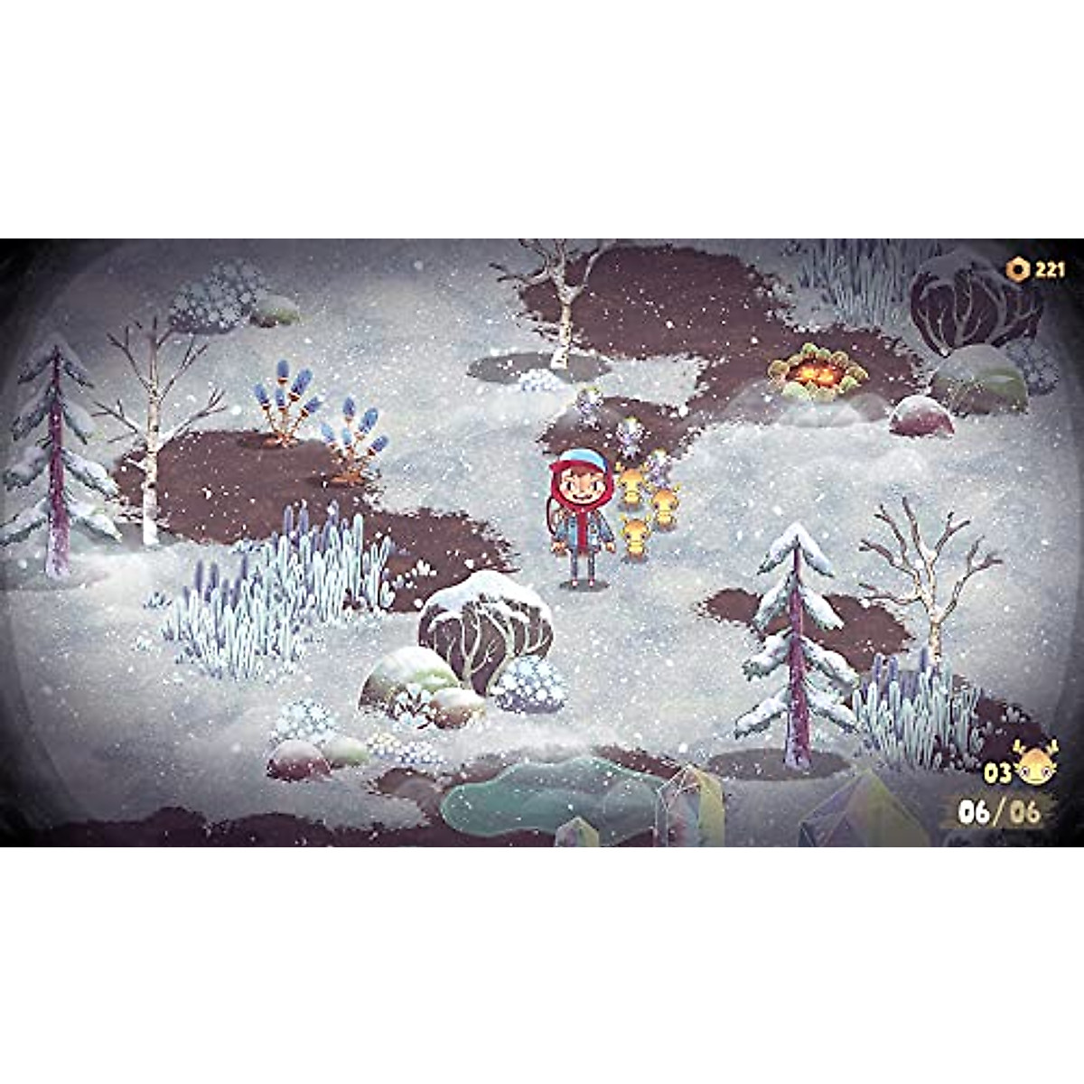 The Wild at Heart (Nintendo Switch)