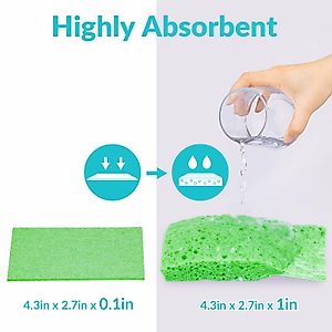 Pop-Up Sponges 6 Pack, REIDEA 100% Biodegradable Scrub for Kitchen - Non Scratch Odor Free Plant Based Dish Sponge - Eco-Friendly Wood Pulp Sponge (Colored, 6 Pack)