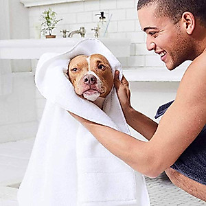 Brooklinen Towel, Cotton Bath Sheets, Super Plush, White, Set of 2