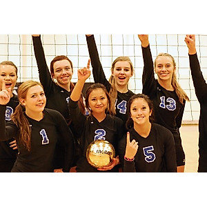 Molten Trophy Volleyball (Gold, Official)