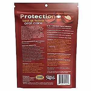 Ark Naturals Protection+ Brushless Toothpaste, Dog Dental Chews for Mini Breeds, Prevents Plaque & Tartar, Freshens Breath, 4oz, 1 Pack