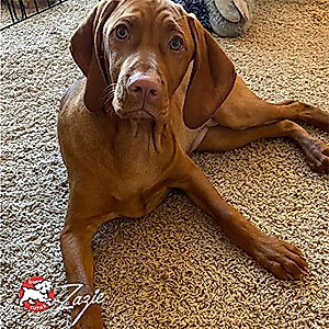 Fromm Large Breed Puppy Gold Premium Dry Dog Food - Dry Puppy Food for Large Breeds - Chicken Recipe - 30 lb